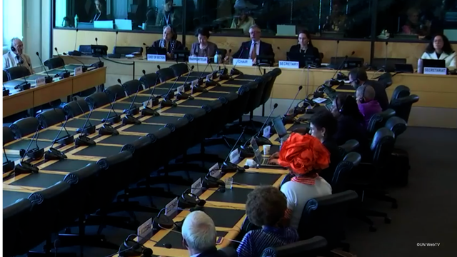 IMADR: International Movement Against All Forms of Discrimination and ...